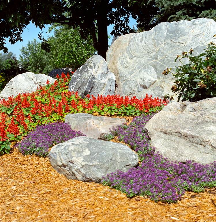 Our Portfolio - Boulder Images Inc.