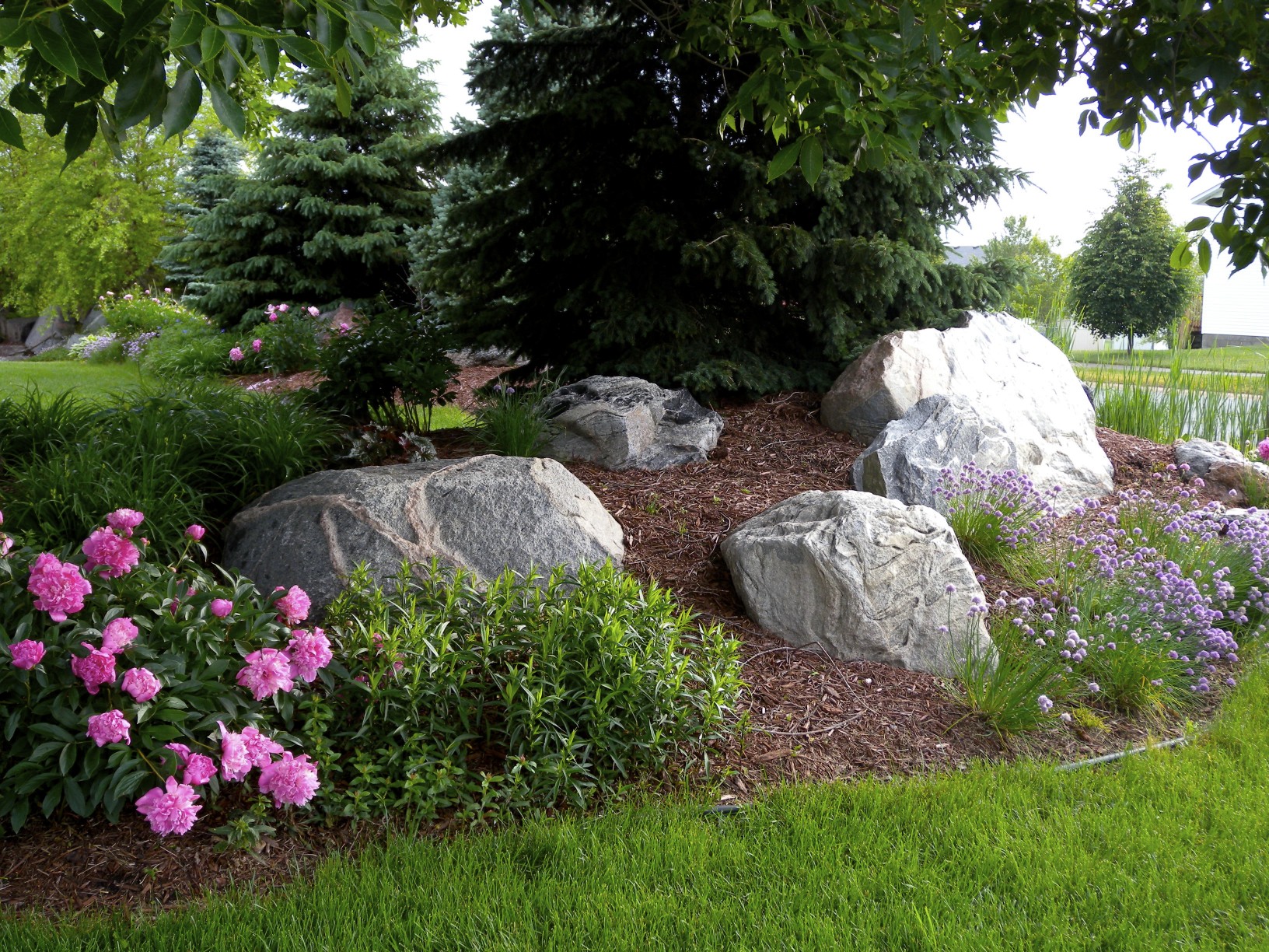 Our Portfolio - Boulder Images Inc.