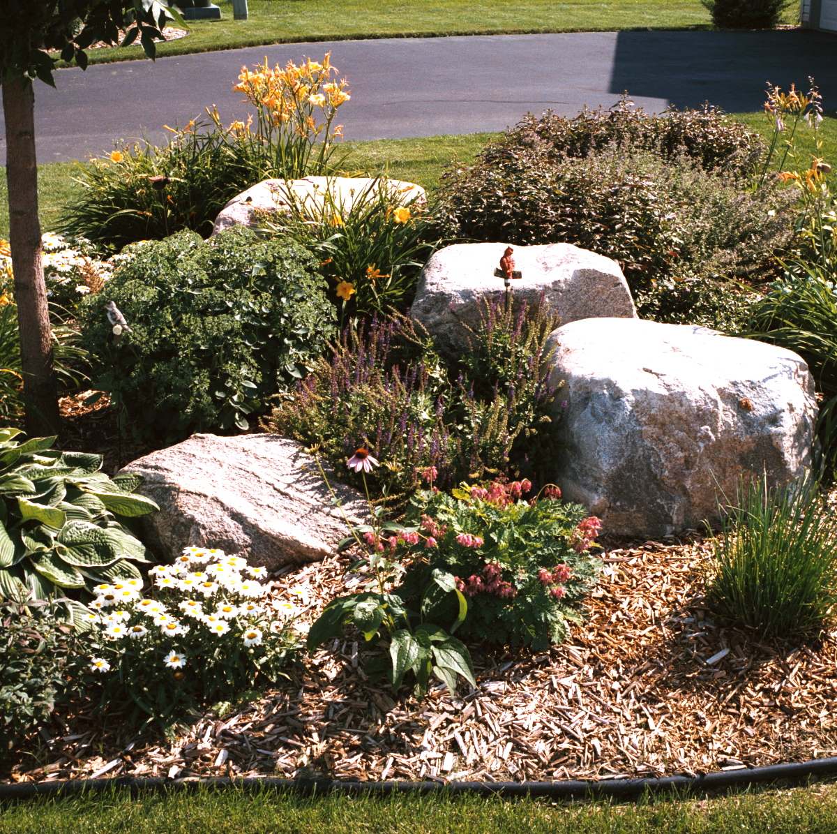 Our Portfolio - Boulder Images Inc.