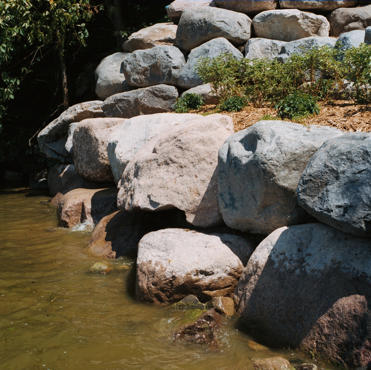 Our Portfolio - Boulder Images Inc.