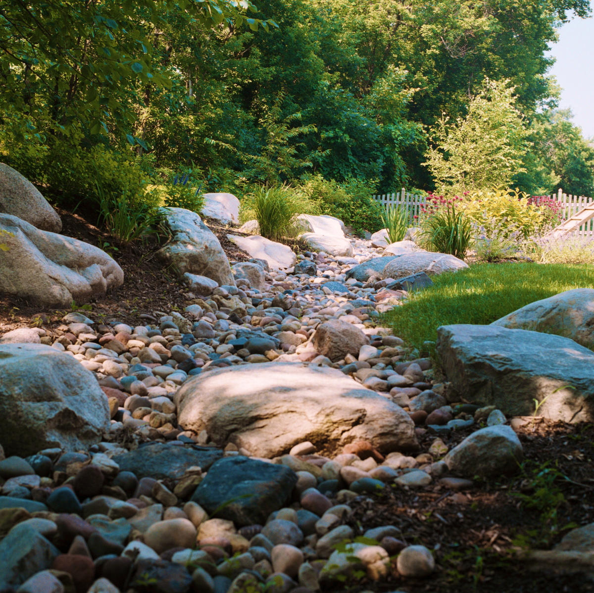 Our Portfolio - Boulder Images Inc.