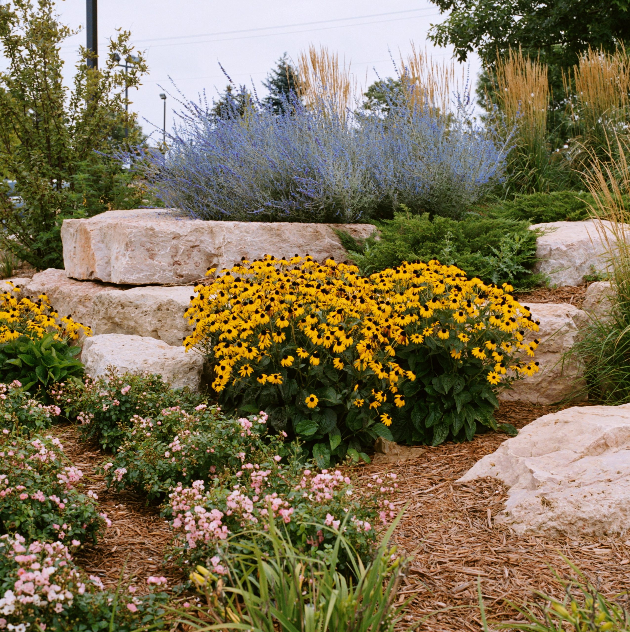 Our Portfolio - Boulder Images Inc.