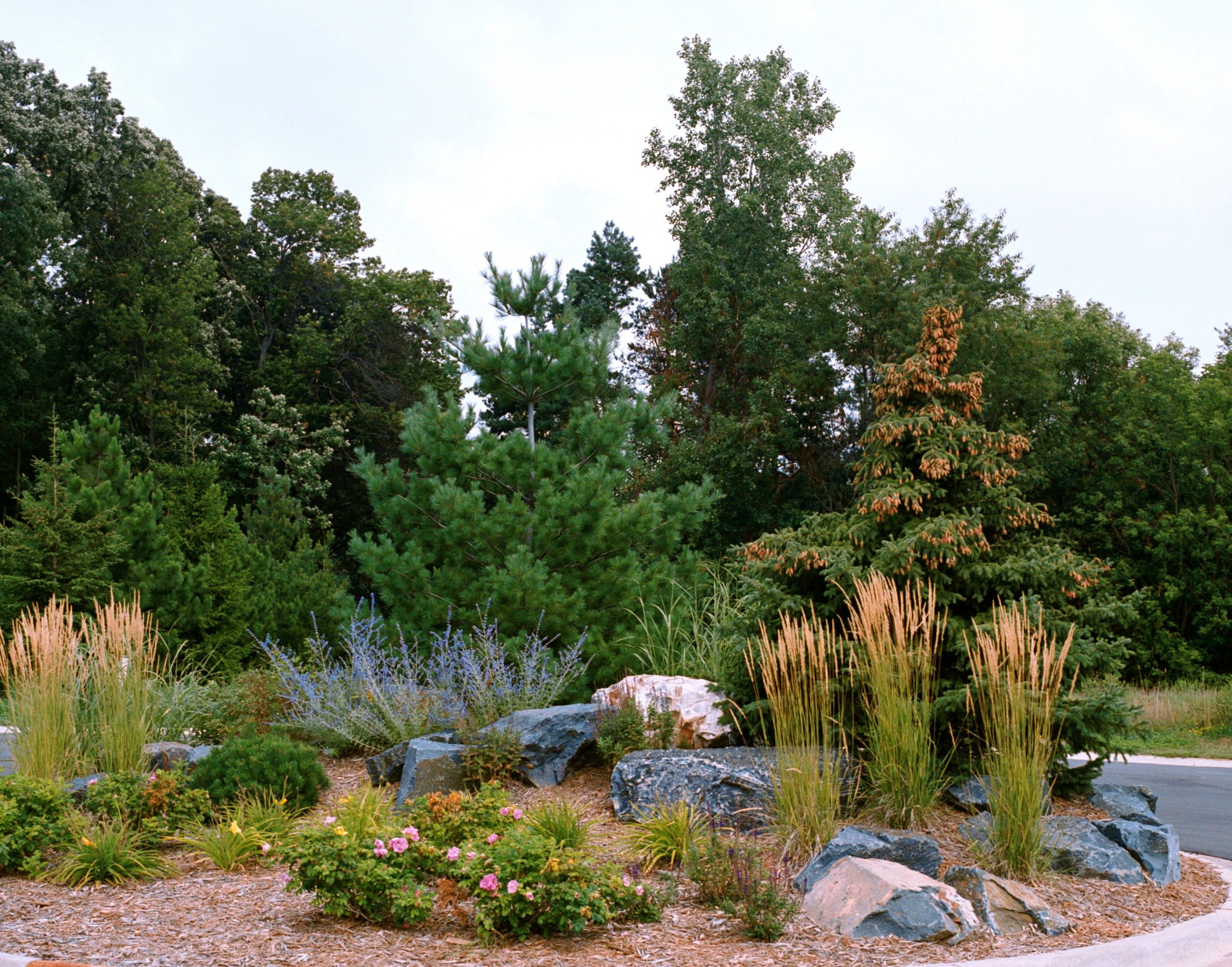 Our Portfolio - Boulder Images Inc.