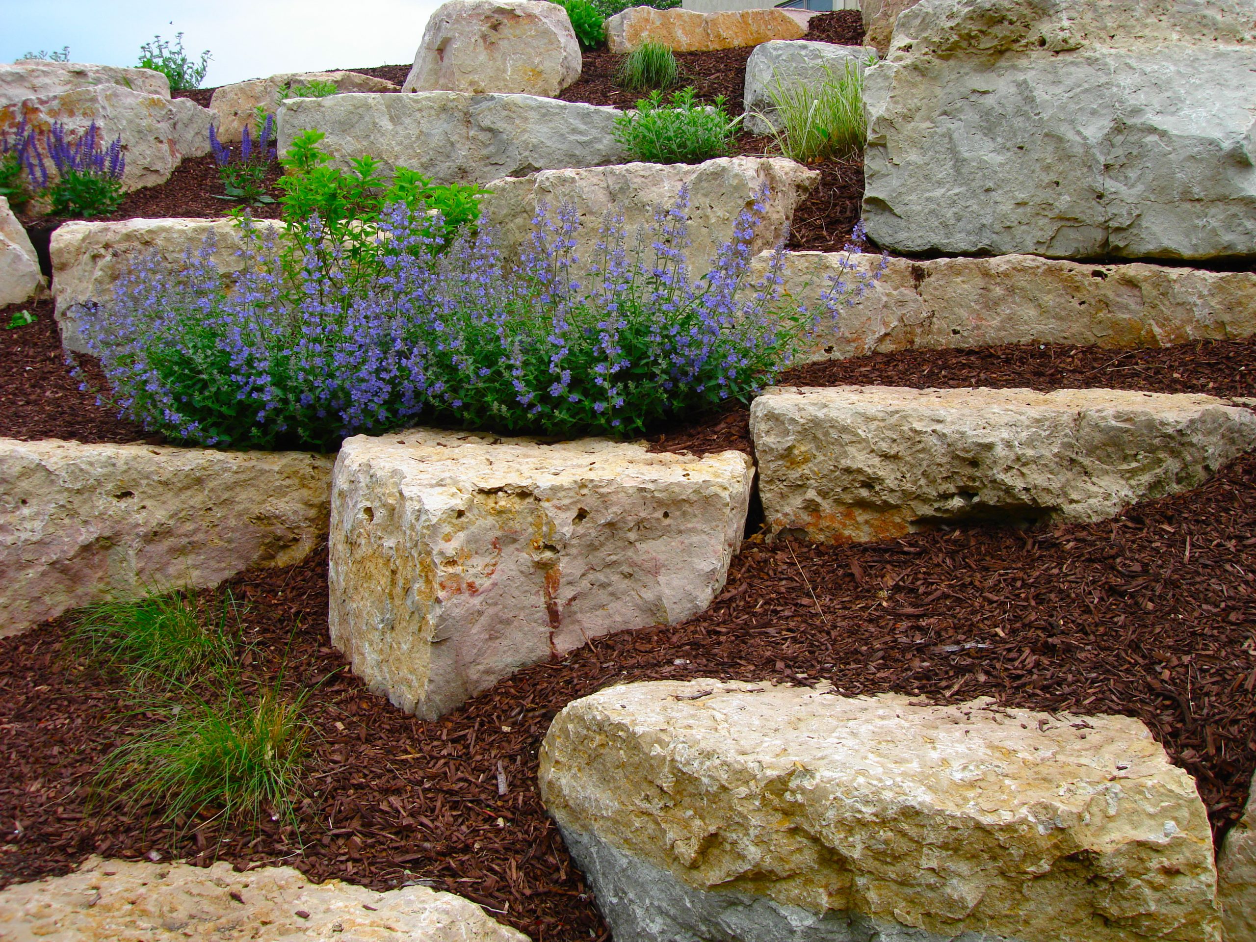 Our Portfolio - Boulder Images Inc.