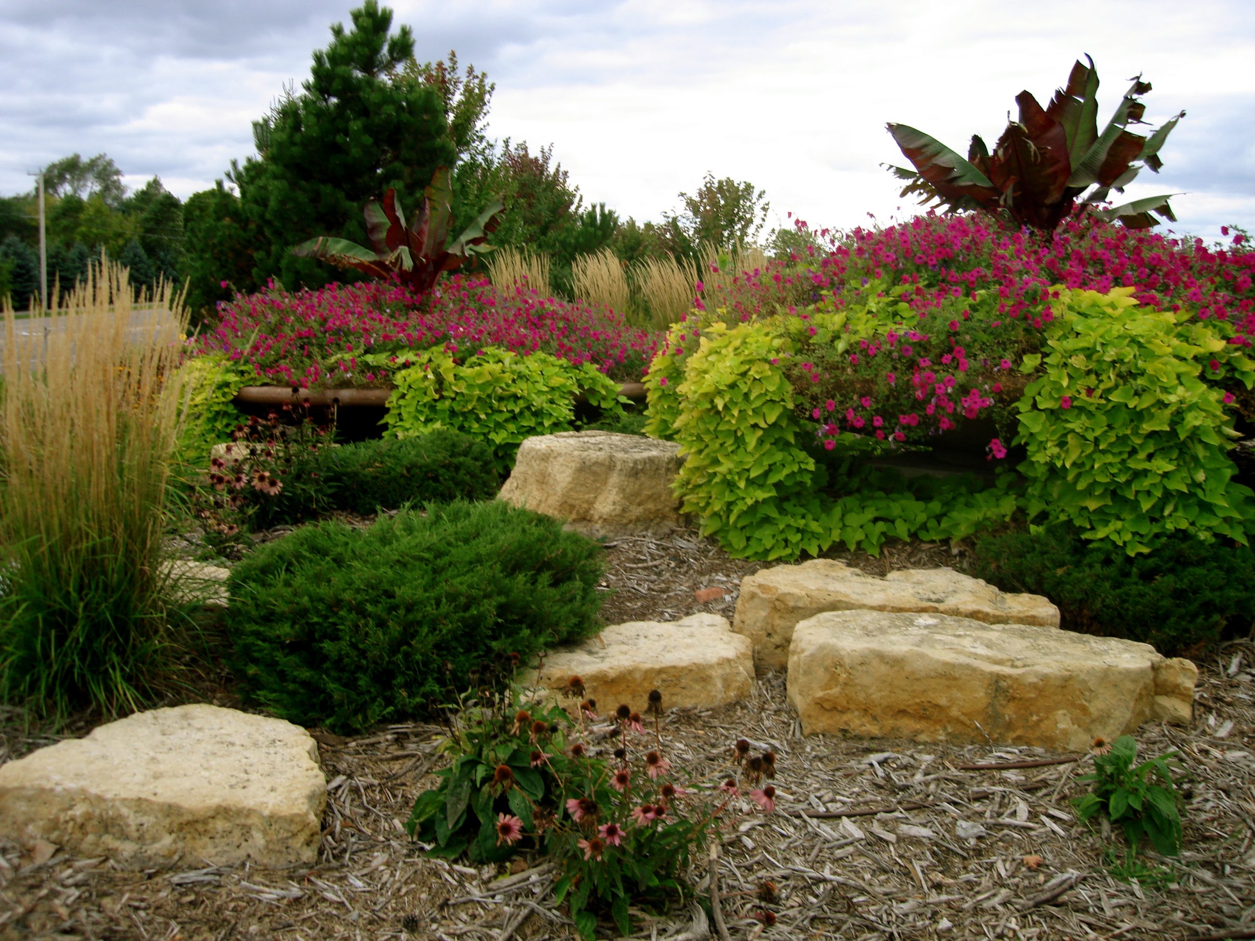 Our Portfolio - Boulder Images Inc.