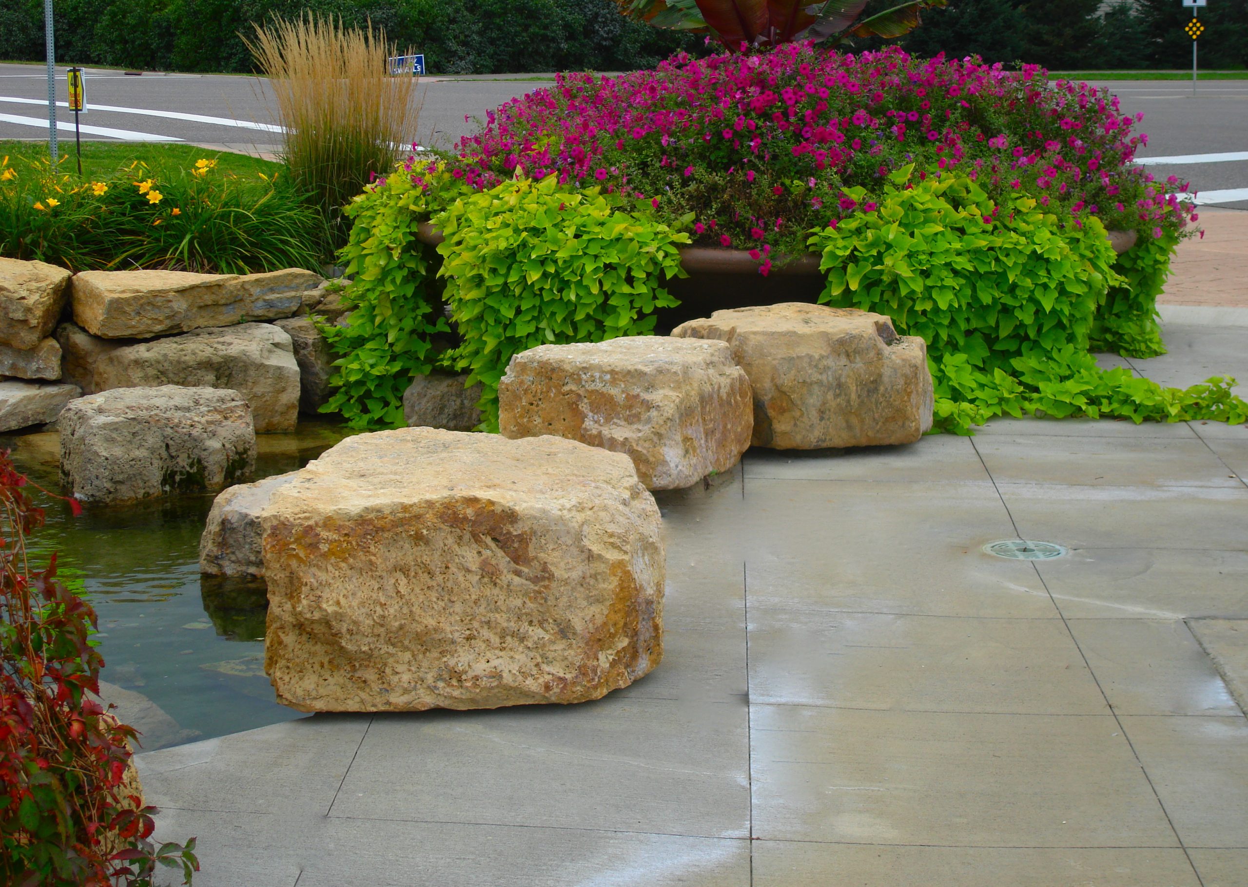 Our Portfolio - Boulder Images Inc.