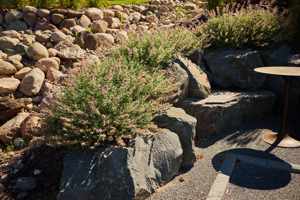 Our Portfolio - Boulder Images Inc.