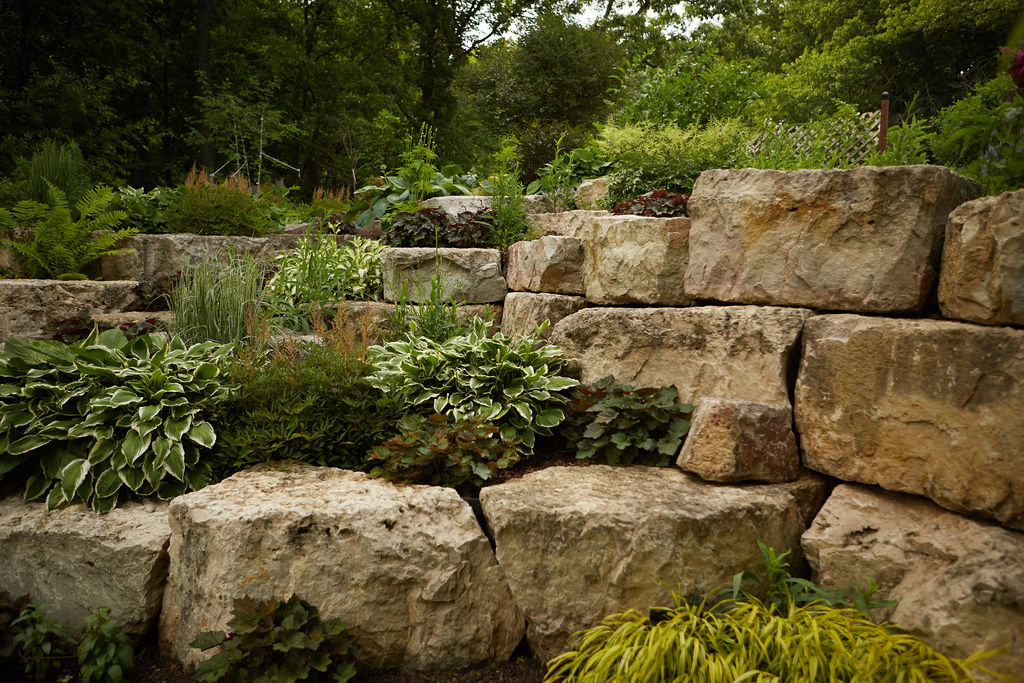 Our Portfolio - Boulder Images Inc.