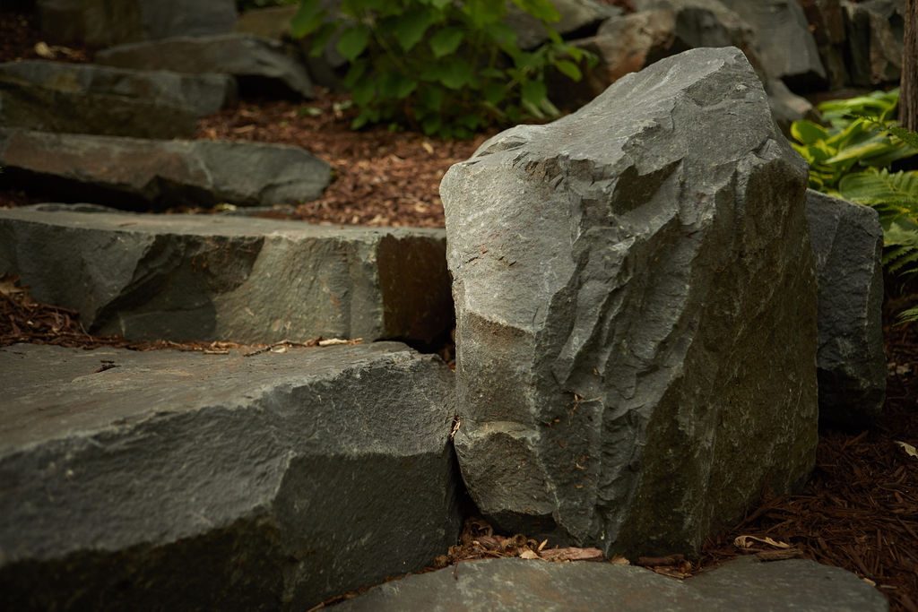 Our Portfolio - Boulder Images Inc.