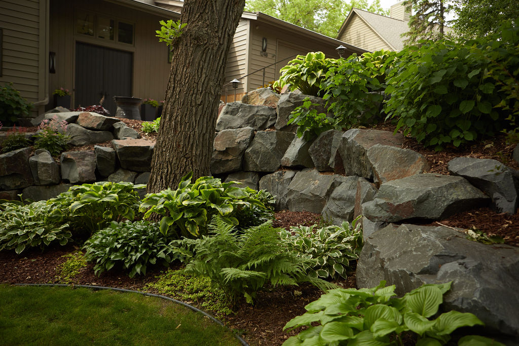 Our Portfolio - Boulder Images Inc.