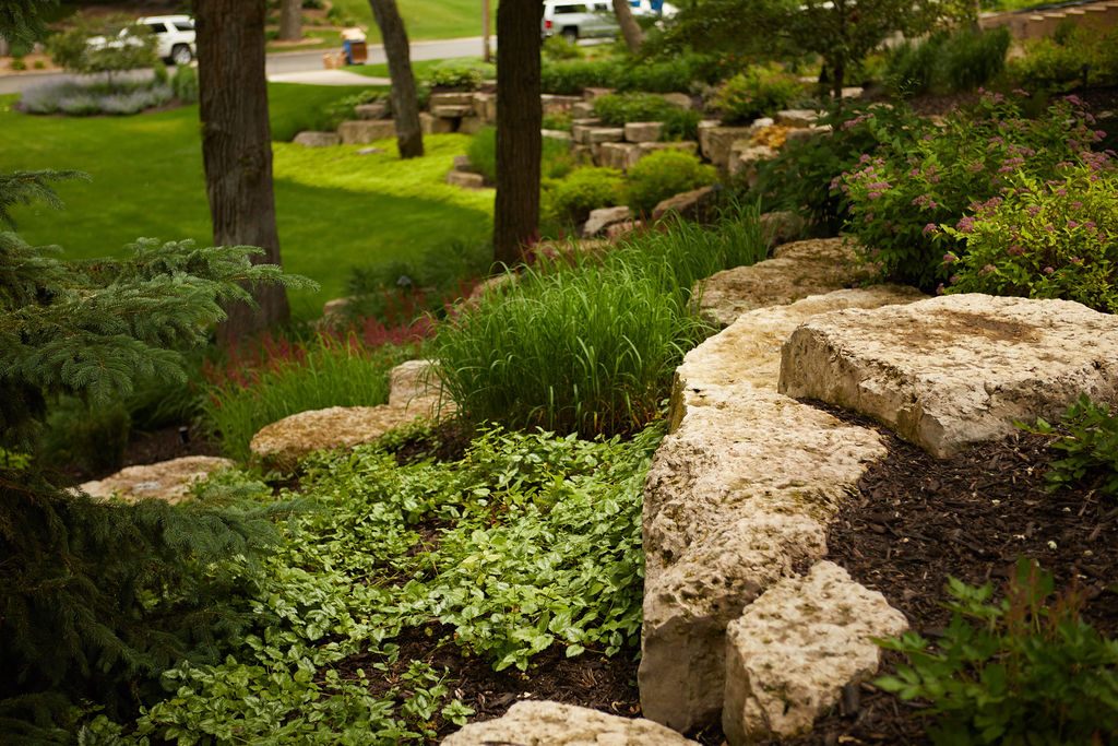 Our Portfolio - Boulder Images Inc.